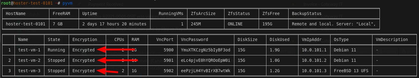 1. PyVM Bhyve Overview - yaroslav-gwit/PyVM-Bhyve GitHub Wiki